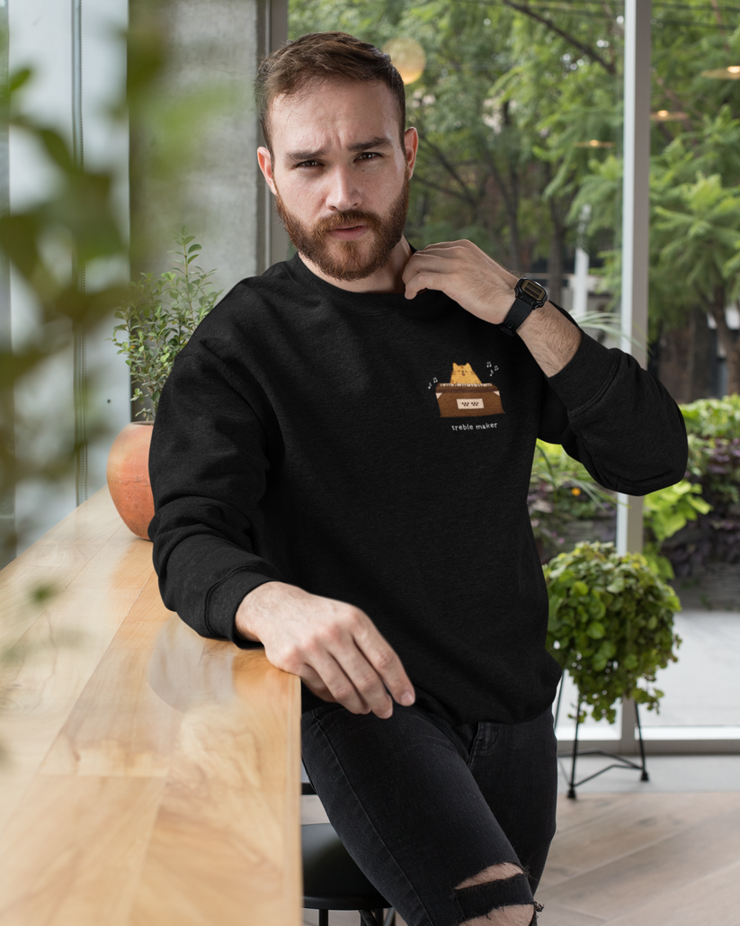 Swaru and the Harmonium | Unisex Sweatshirt – The Mad Riyazi